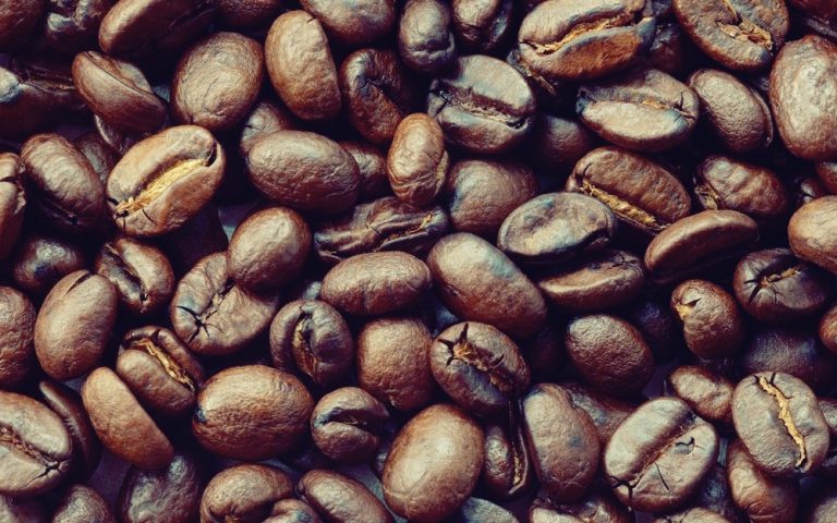 The Canadian coffee culture | ACME Cafe